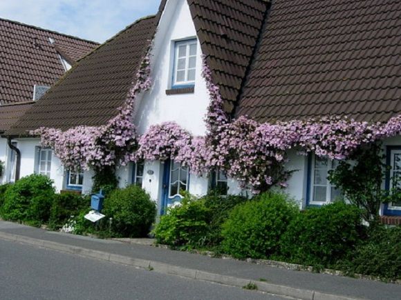 Nordseeheilbad Nordstrand: Pension Nis Puk