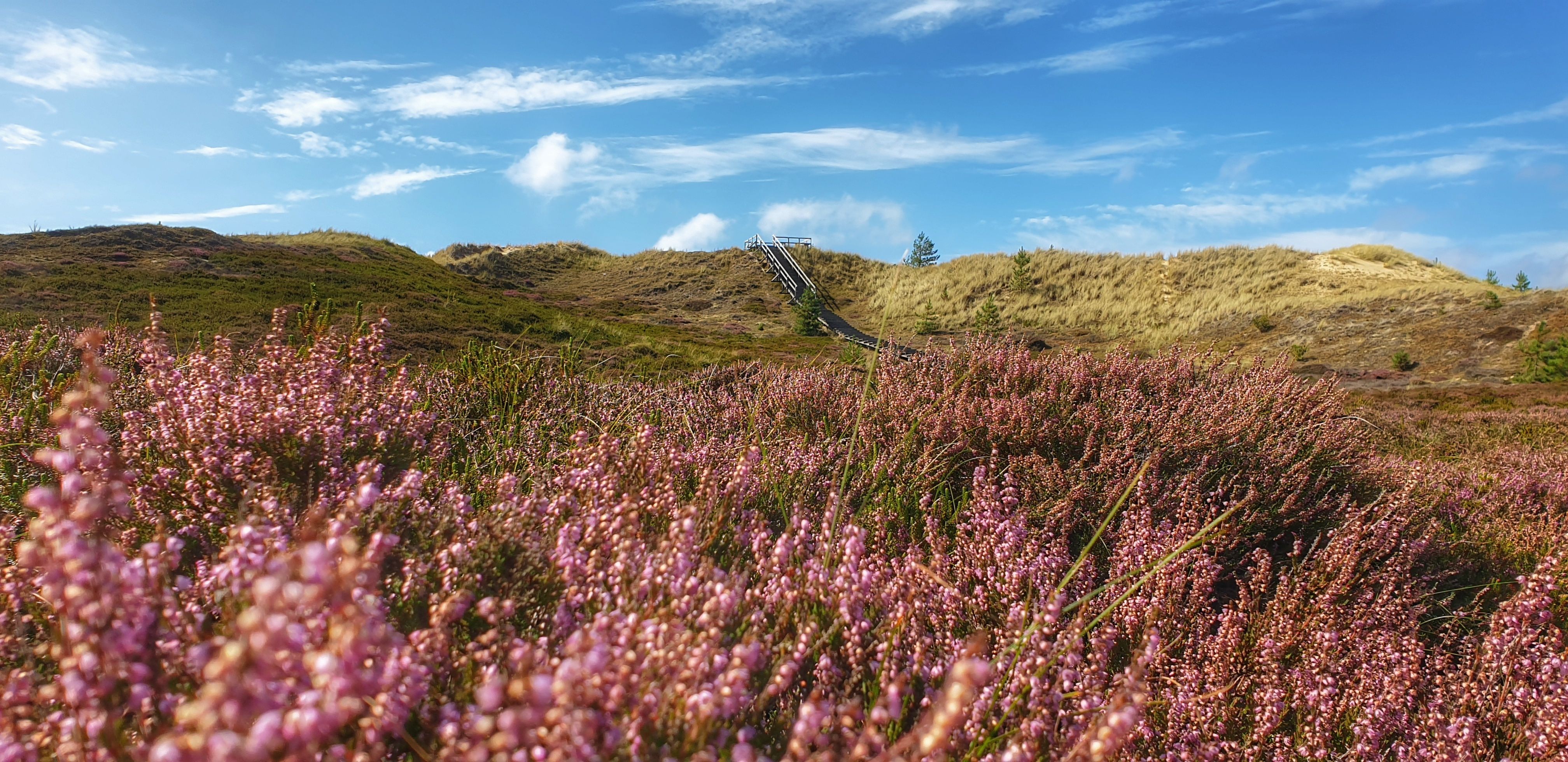 Nordseeheilbad Nordstrand: Spaziergang E